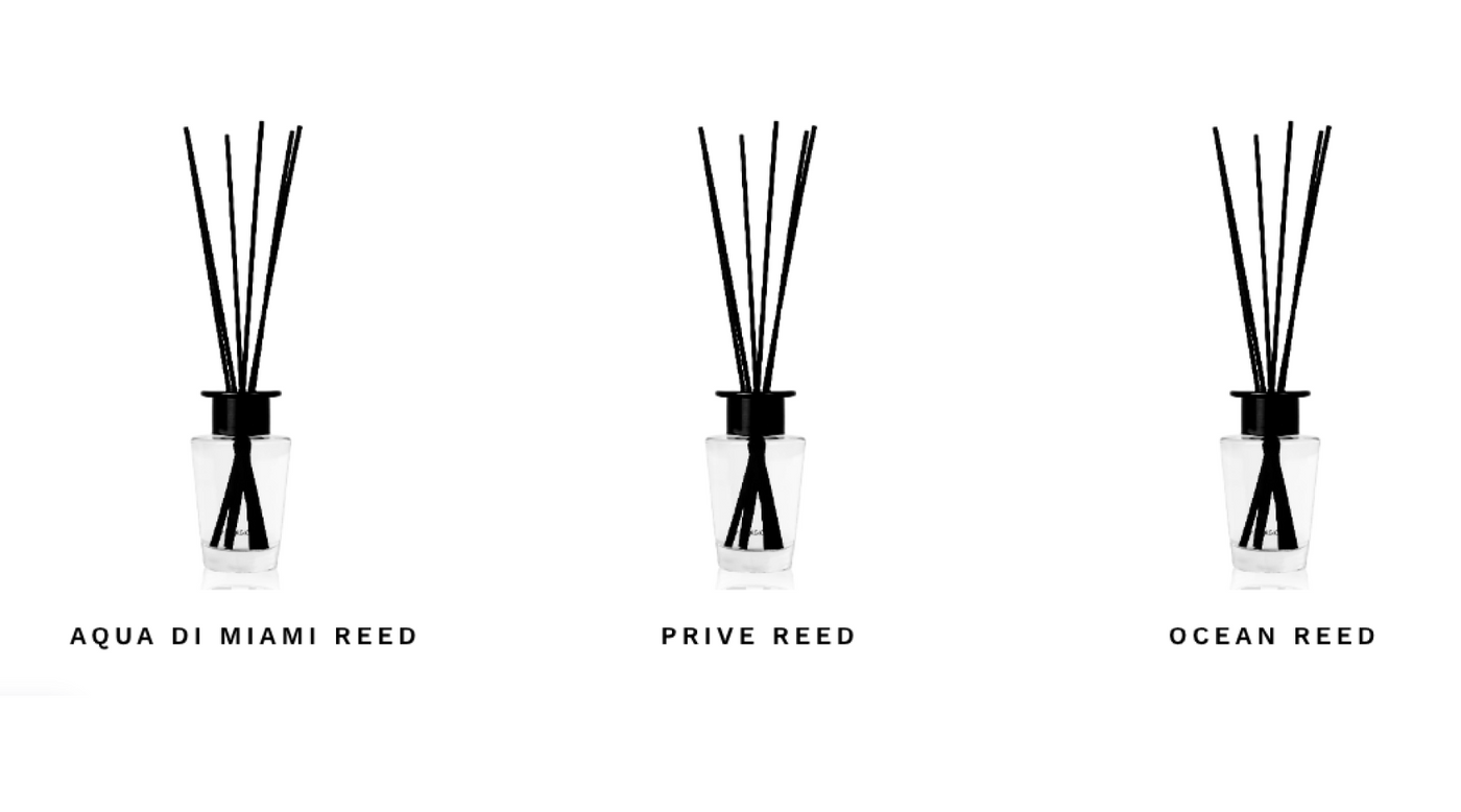 The Best Reed Diffuser Scents