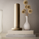 Bluetooth Diffuser TMS Lux BT - Home Scent Diffuser